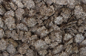 Beet pulp - a true super fibre | Category_Articles, Category_Articles ...